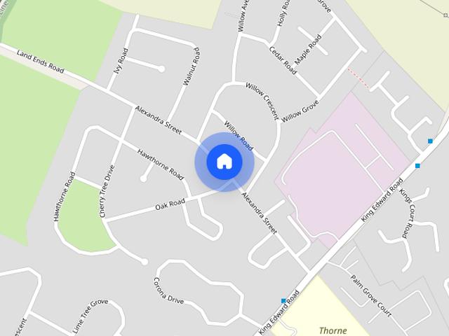 Alexandra Street, DN8