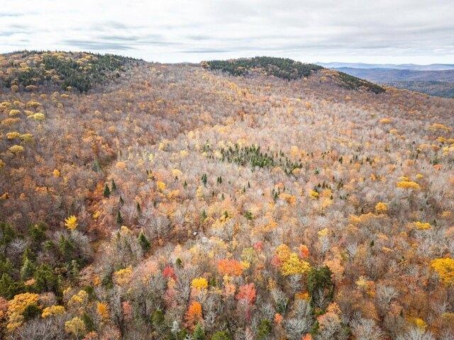 Alexandria NH 03222 104851649