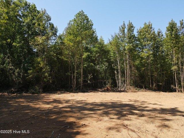 Alert Rd, Louisburg, NC 27549