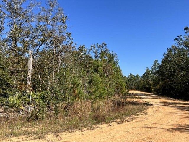 Alford FL 32420 91811395