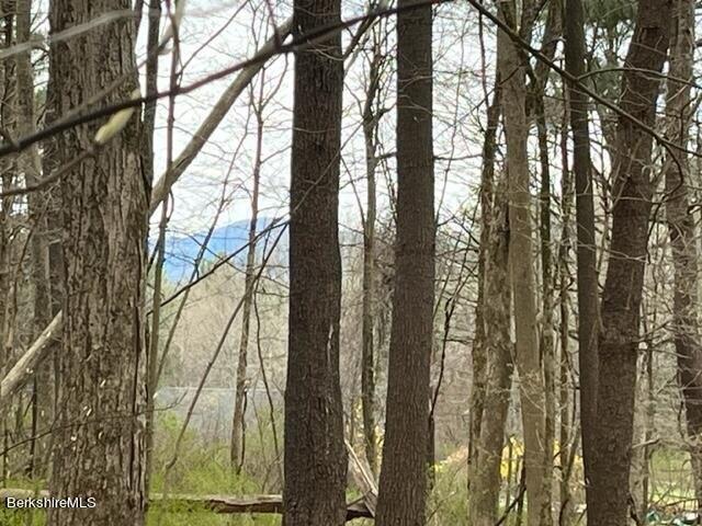 Alford Rd, Great Barrington, Plot For Sale