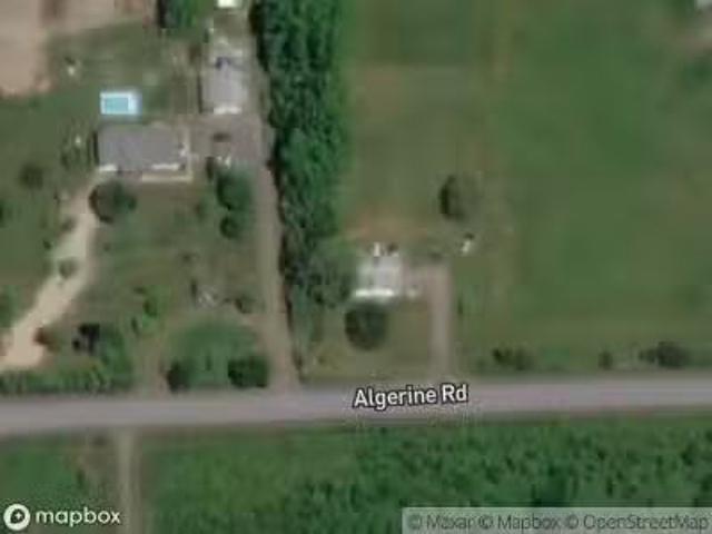 Algerine Rd