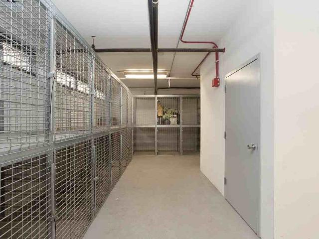 Algonquin Apartments 1 Bedroom Apartment for Rent at 1606 E Hyde Park Blvd, Chicago, IL 60615 Kenwood