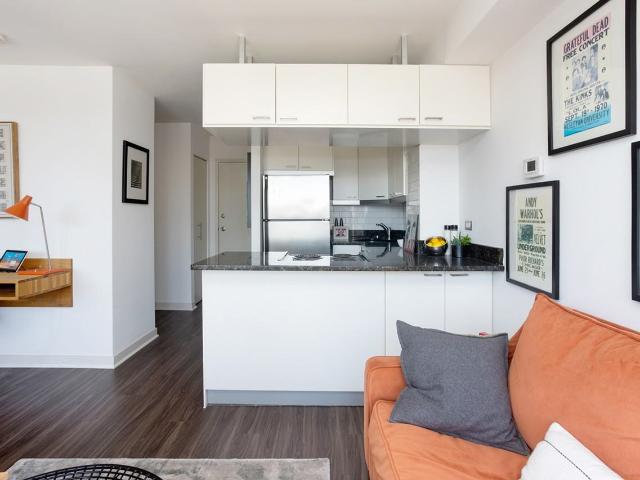 Algonquin Apartments 2 Bedroom Apartment for Rent at 1606 E Hyde Park Blvd, Chicago, IL 60615 Kenwood