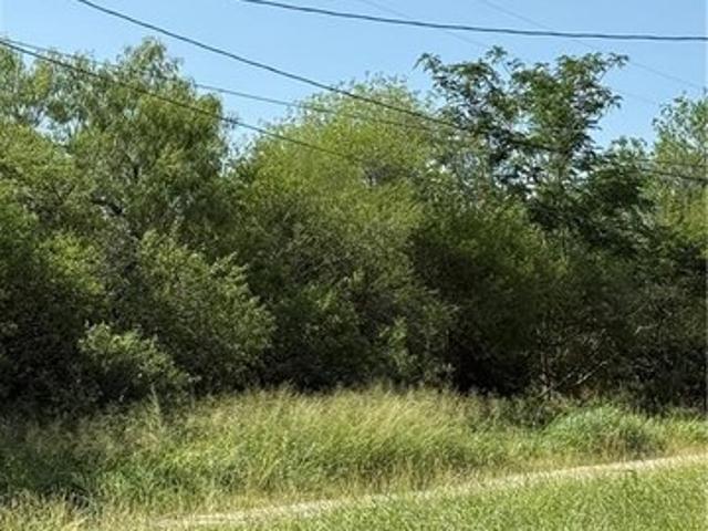 Alice, TX 78342