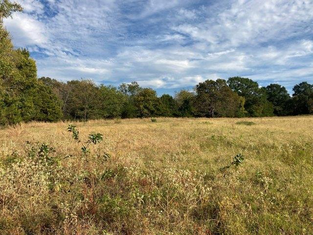 Alicia Ln, Howe, OK 74940