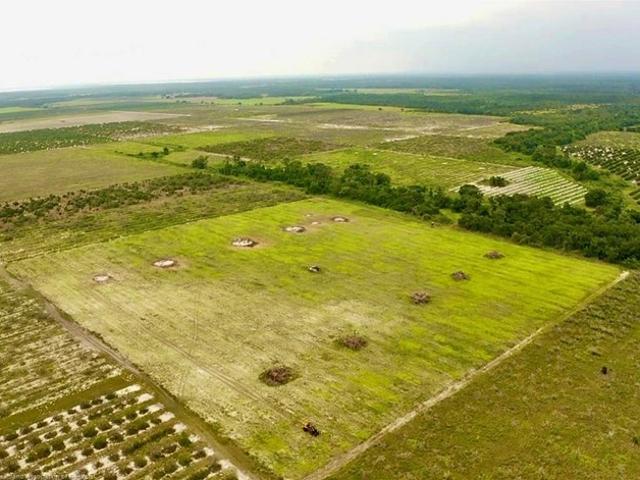 Alico Clay Pit Rd, Frostproof, FL 33843