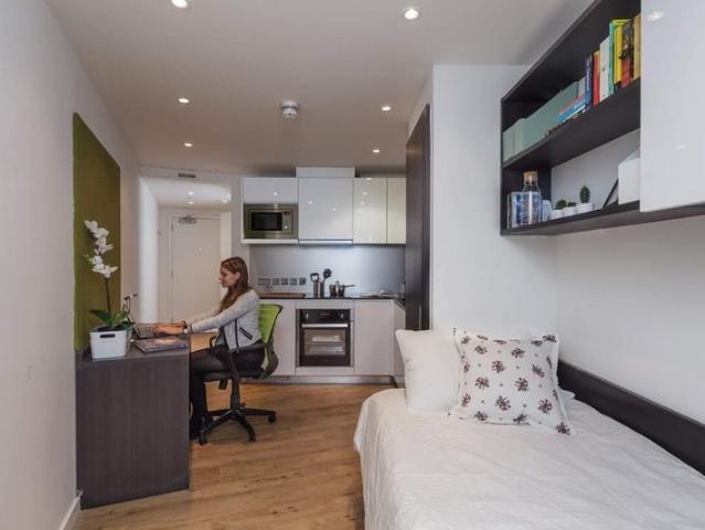 All Inclusive Studio Zone 1 LSE/KCL/Westminster