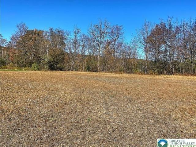 Allemaengel Rd Lots 6 & 2017027, New Tripoli, PA 18066