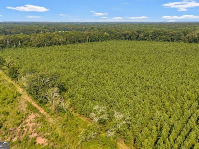 Allen Turkey Creek Rd Lot B, Danville, GA 31017