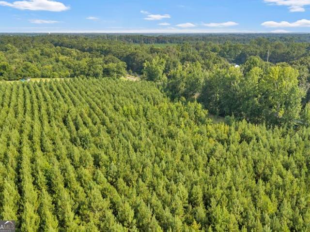 Allen Creek Rd Lot Turkey, Danville, GA 31017