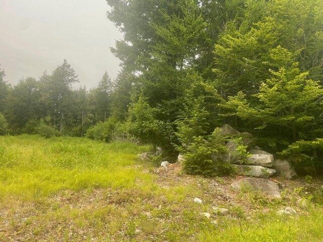 Allen Mountain Trl Lot A, Denmark, Plot For Sale