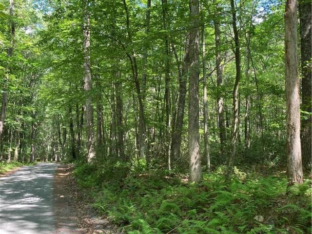 Allen Road