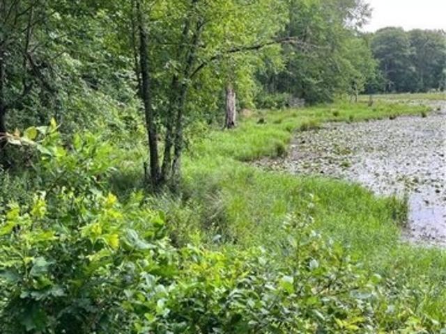 Allentown Rd, Plymouth, Plot For Sale