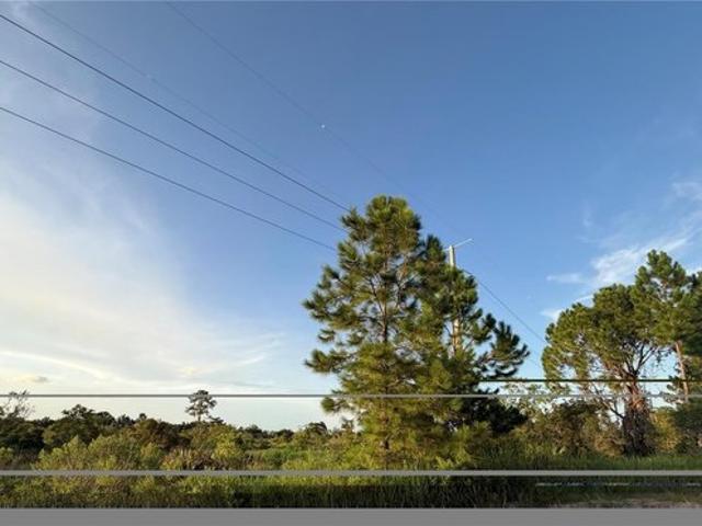 Allison Ave, Lake Wales, FL 33859