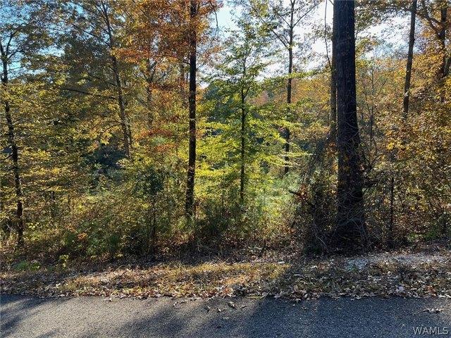 Allison Dr Lot 8, McCalla, AL 35111