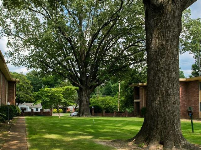 Allison Gardens Apartments 2 Bedroom Apartment for Rent at 427 N Graham St, Memphis, TN 38122