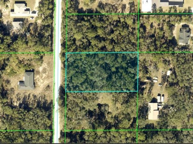 Alloy St, Webster, FL 33597