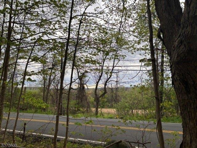 Alphano Rd, Allamuchy Township, Plot For Sale
