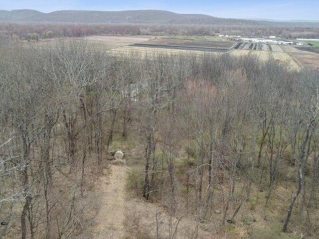 Alphano Rd, Independence Township, Plot For Sale