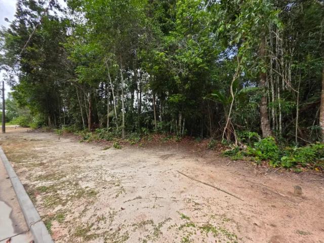 Alphaville manaus 2 – lotes à venda exclusividade, segurança e alto padrão