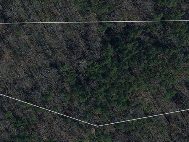 Alphin Ln, Culpeper, VA 22701