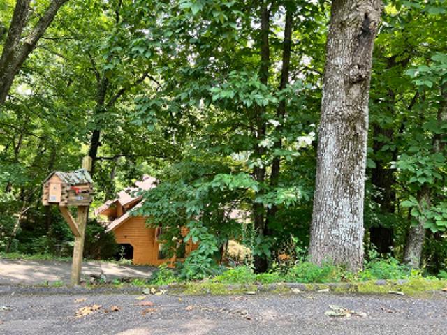 Alpine Dr