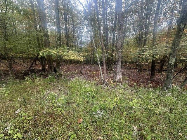 Alpine Dr Lots 27 & 28, Terra Alta, WV 26764