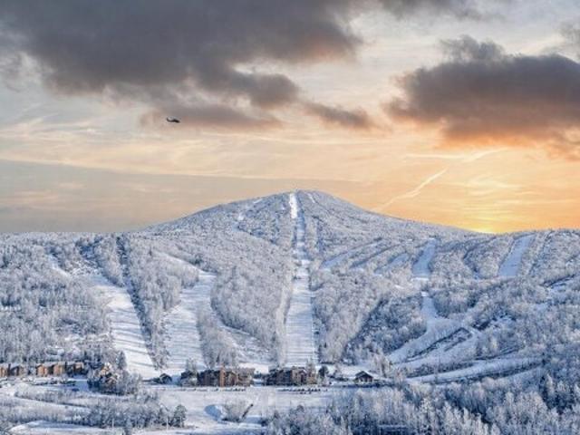 Alpine Dr Unit D, Killington, Condo For Sale