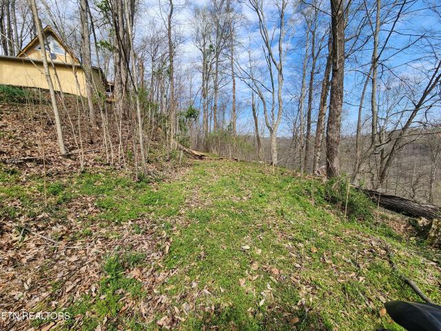Alpine Drive, Smithville, TN 37166