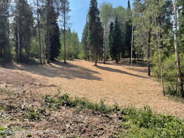 Alpine Meadow Loop Lot 13, Alpine, WY 83128