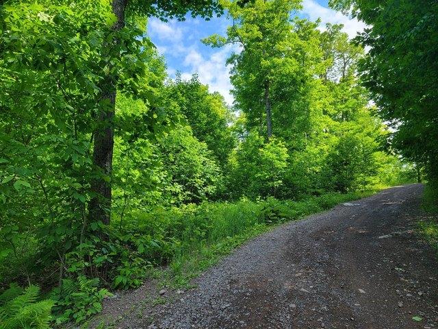 Alpine Shores Dr Lot 14, Upson, WI 54565