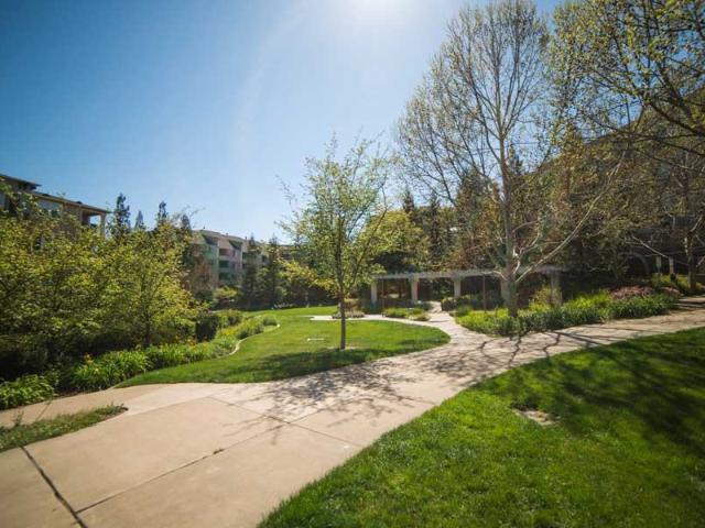 Alpine Park 1 Bedroom Apartment for Rent at 1776 Botelho Drive, Walnut Creek, CA 94596 Downtown Walnut Creek