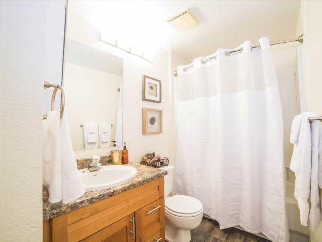 Alpine Park Studio Apartment for Rent at 1776 Botelho Drive, Walnut Creek, CA 94596 Downtown Walnut Creek
