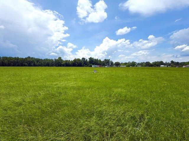 Alpine Trl Lot 0, Willacoochee, GA 31650