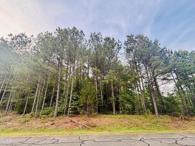 Alston Horton Service Rd, Pittsboro, NC 27312