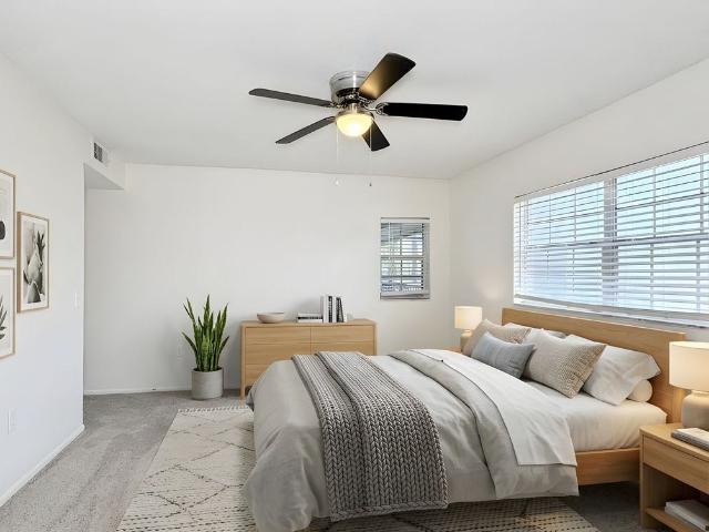 Altura Largo 1 Bedroom Apartment for Rent at 2200 Gladys St, Largo, FL 33774