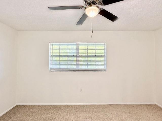Altura Largo 1 Bedroom Apartment for Rent at 2200 Gladys St, Largo, FL 33774
