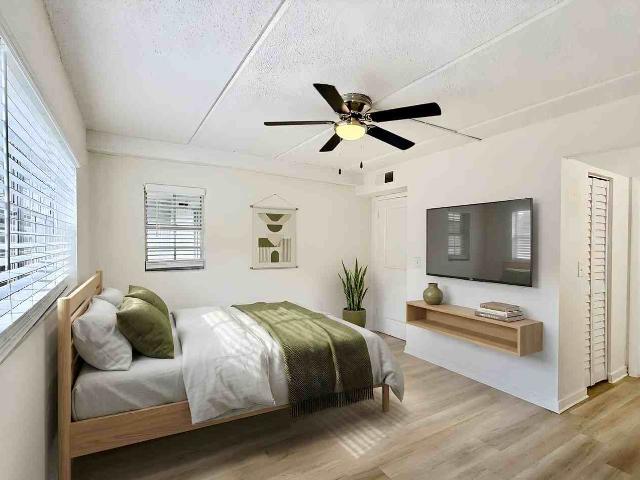 Altura Largo 1 Bedroom Apartment for Rent at 2200 Gladys St, Largo, FL 33774