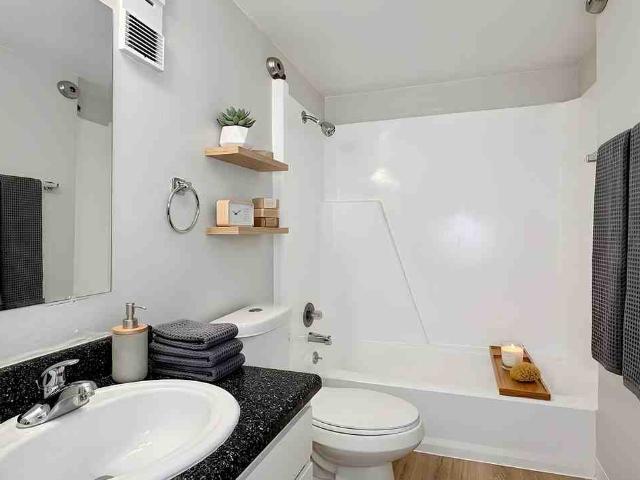 Altura Largo 2 Bedroom Apartment for Rent at 2200 Gladys St, Largo, FL 33774