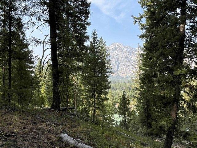 Alturas, Atlanta, ID 83601