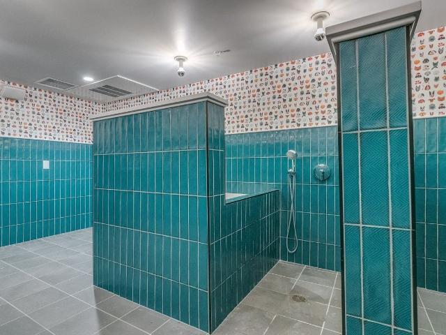 Alta Sloans Lake 2 Bedroom Apartment for Rent at 1605 Sheridan Boulevard, Lakewood, CO 80214 Edgewood