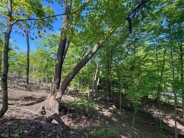 Altamont Rd Lot 1, Mingo Junction, OH 43938