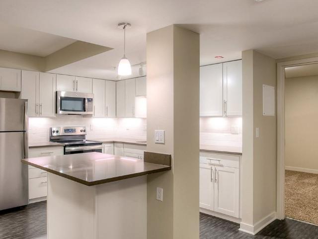 Altitude 1 Bedroom Apartment for Rent at 1620 Benson Rd S, Renton, WA 98055