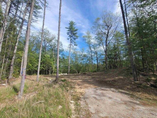 Altitude Overlook Lot,conway, Plot For Sale