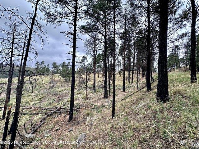 Alto, NM 88312
