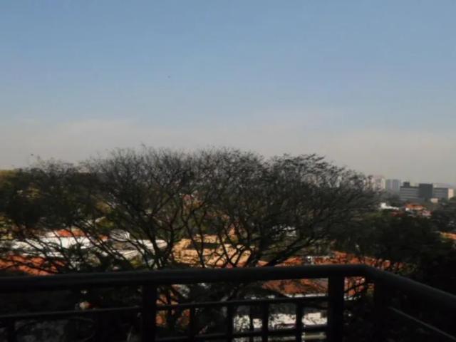 Alto de pinheiros