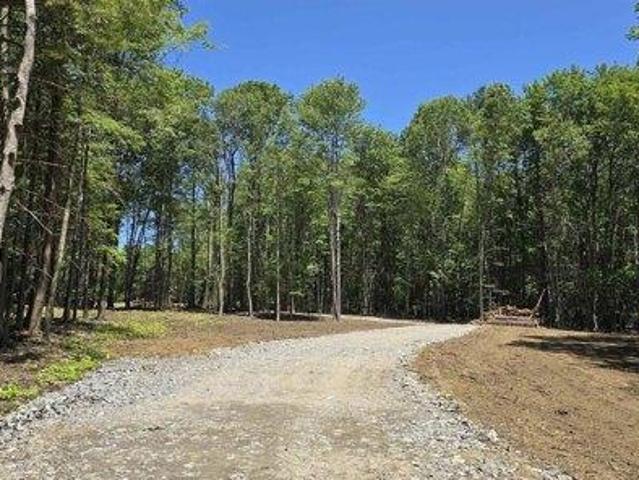 Alton NH 03809 102217697