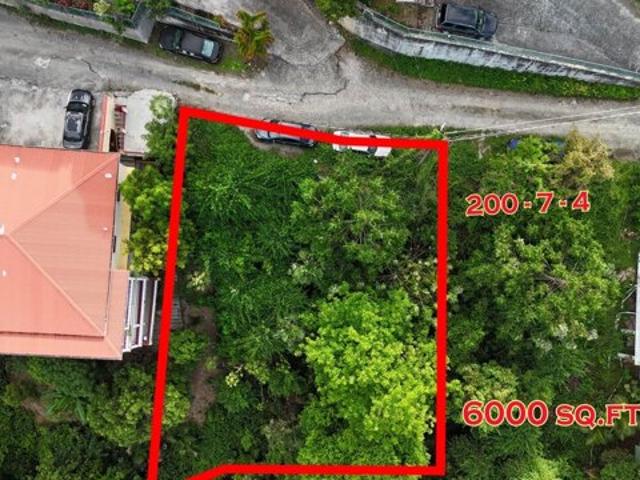 Altona And Welgust, Saint Thomas, Plot For Sale
