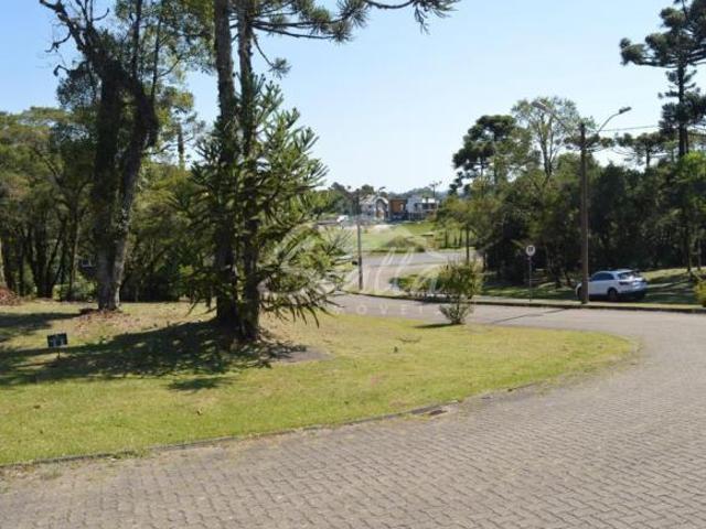 ALTOS PINHEIROS